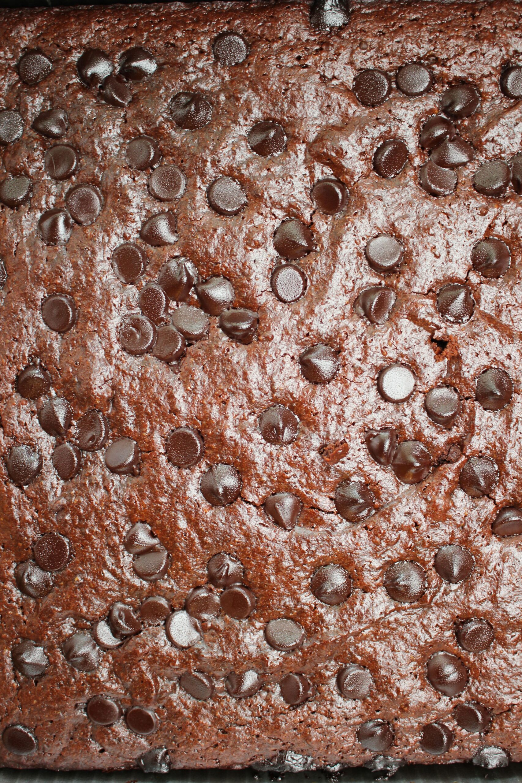 Healthy Pumpkin Brownies (plant-based) - The Happy and Wholesome Mommy
